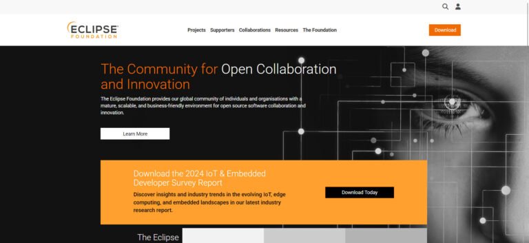 Top 10 IDEs for Developers in 2025 - TopatTop.com